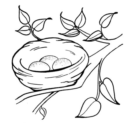 Desenhos De Ninho Para Colorir E Imprimir Colorironline