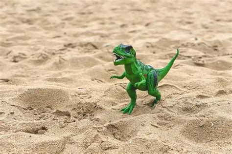 dino unleashing the potential of self supervised learning