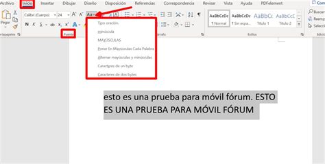 Cómo pasar de mayúsculas a minúsculas en Word