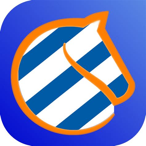 Règlement du tournoi Sud de France Echiquier haut alpin de GAP