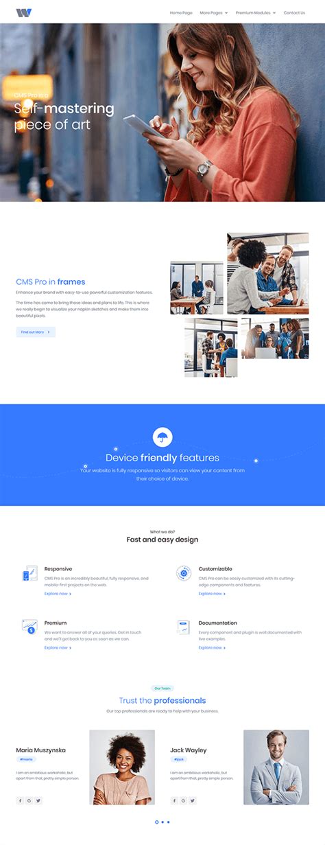 Cms Pro Content Management System In Php Inkthemes
