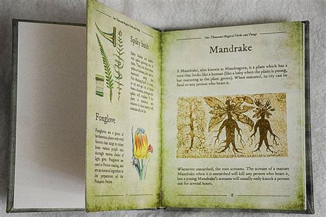 One Thousand Magical Herbs And Fungi Harry Potter Book Etsy