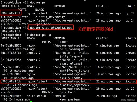 docker：docker镜像与容器的基本操作 docker 后台运行 csdn博客