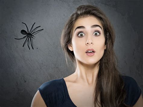 Miedo a las arañas significado y cómo superar la fobia Colegio de