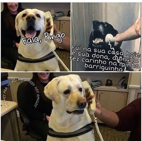 Vendo veado adulto as vezes ele late mas é por causa do corona Memes