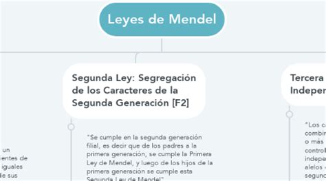 Leyes De Mendel MindMeister Mapa Mental