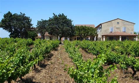 Maison Plantevin Cotes Du Rhone Organic Rhone Valley Wines