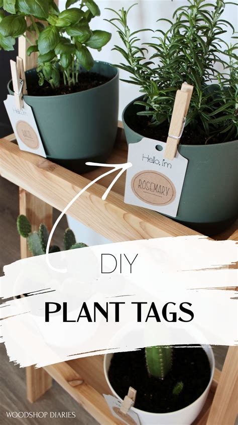 Diy Plant Ladder Shelf A Renter Friendly Indoor Garden Idea Artofit