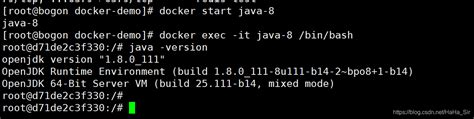 docker 安装jdk1 8 docker安装jdk1 8 使用docker提供的镜像 docker拉取jdk1 8镜像 csdn博客
