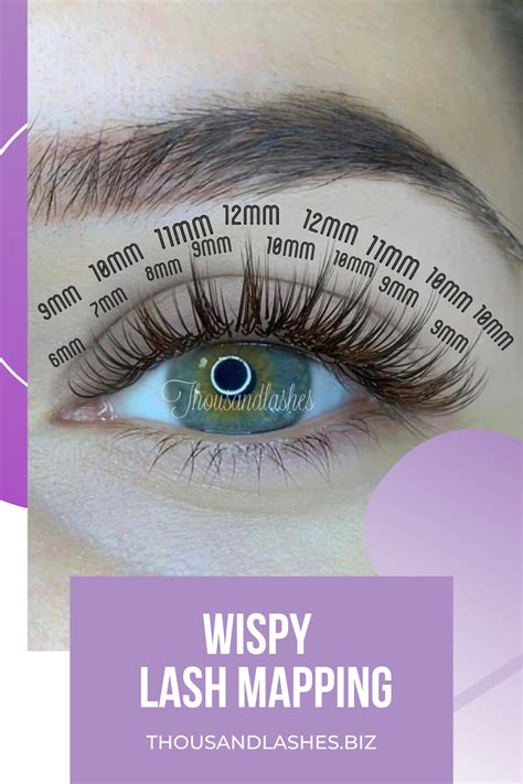 Wispy Lash Mapping As A Beginner Lash Artist You Might Be Asking