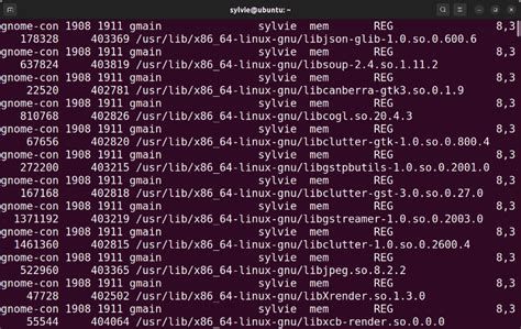 The Lsof Command In Linux Practical Examples
