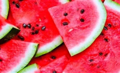 Qu Tan Buena Es La Sand A Para La Salud Descubre Sus Beneficios