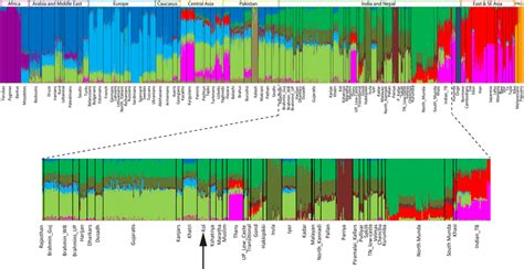 The ADMIXTURE Plot At K 12 Showing The Ancestry Components Sharing Of