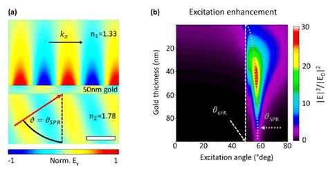 a finite element method fem simulation of the electric field download scientific diagram