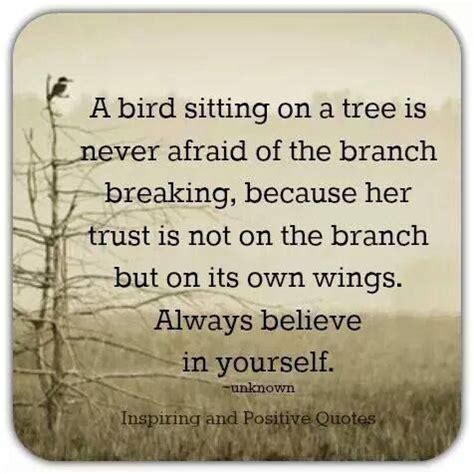 A Bird Sitting On A Tree Is Never Afraid Of The Branch Breaking