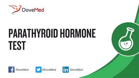Parathyroid Hormone Test DoveMed