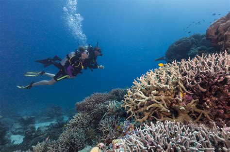 Ignite Your Passions With 35 Unforgettable Bucket List Activities