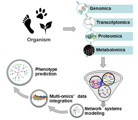 Omic Tools BioVariance Data Driven Diagnostics