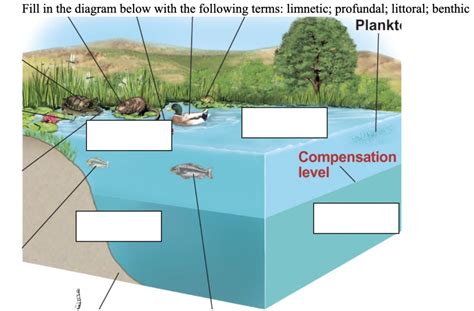 Ecology Exam 2 Diagram Quizlet