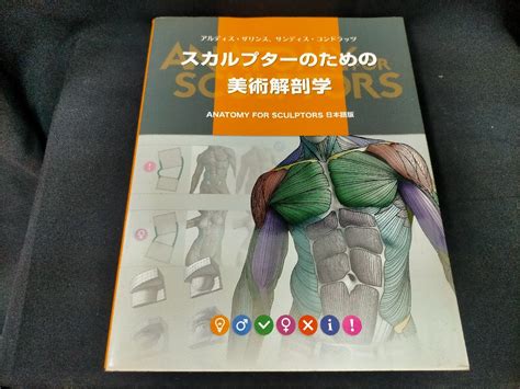 Yahoo オークション スカルプターのための美術解剖学 アルディス