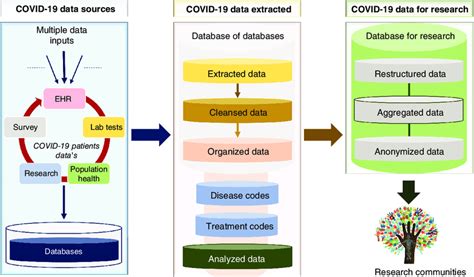 data flow from multiple data sources to research download scientific diagram