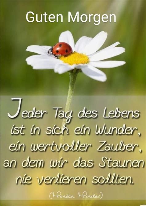 Pin Von Amanda Schmierer Auf Guten Morgen Gute Spr Che Leben Sch Ne