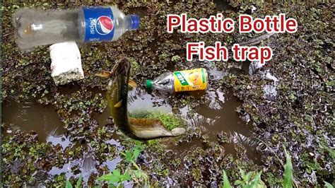 Plastic Bottle Fish Trap Traditional Catch Fish With Hook