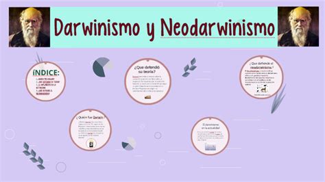 Darwinismo Y Neodarwinismo By Chaima Maha On Prezi