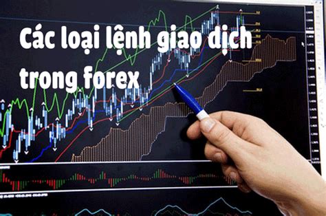 C C Lo I L Nh Trong Forex Ngh A V C Ch S D Ng Hi U Qu