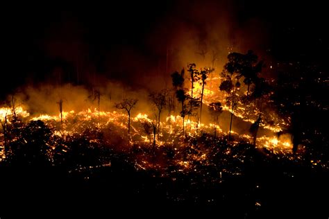 Amaz Nia Bate Recordes De Queimadas Em