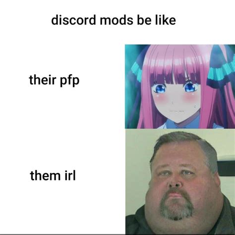 Sir Memes V Discord Pfp Server Imagesee