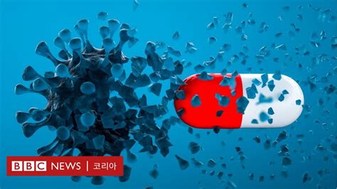 팍스로비드 먹는 코로나19 치료제 국내 첫 도입 게임 체인저 될까 BBC News 코리아