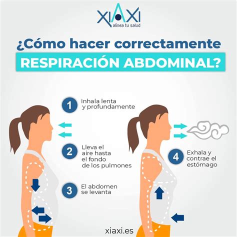 Descubre La Respiraci N Abdominal