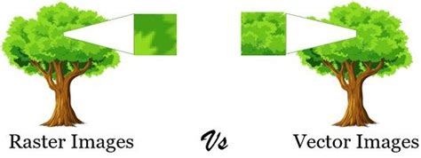 Differences Between Raster And Vector Images Comparison Chart Tech