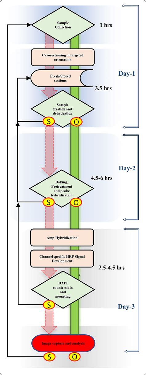Decision Making Process Flow Chart