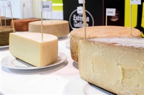 Los Mejores Quesos De Espa A Seg N Gourmetquesos Gastronom A