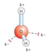 Biochemistry Chapter Flashcards Quizlet