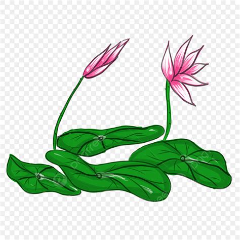 Color Gu Yu Qingming Cartoon PNG Pintado A Mano Lotus Hoja De Loto