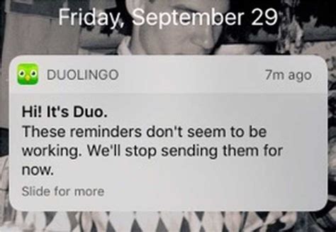 How Do Push Notifications Work Everything A Noob Should Know