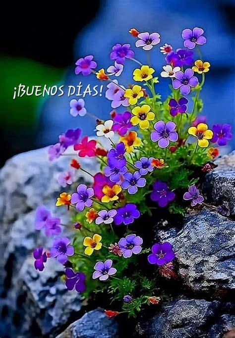 Pin de Mary en bonito dìa en 2024 Saludos de buenos dias Hola buenos