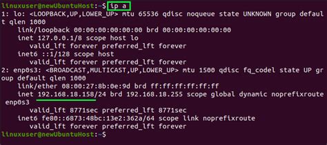 Linux Bash Usr Sbin Ifconfig No Such File Or Directory