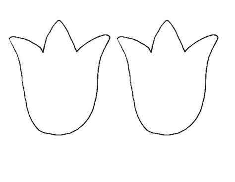 Tulip Flower Outline
