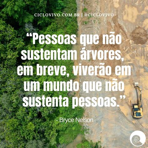 10 Frases Sobre Meio Ambiente E Natureza CicloVivo