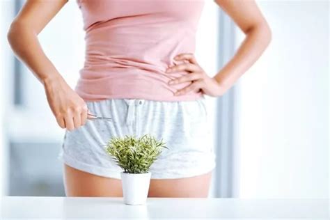 Is It Safe To Shave Pubic Hair How To Remove Your Pubes Safely Daily