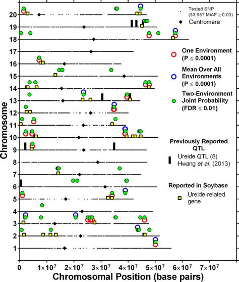 genomic locations of snp markers showing significant associations with download scientific