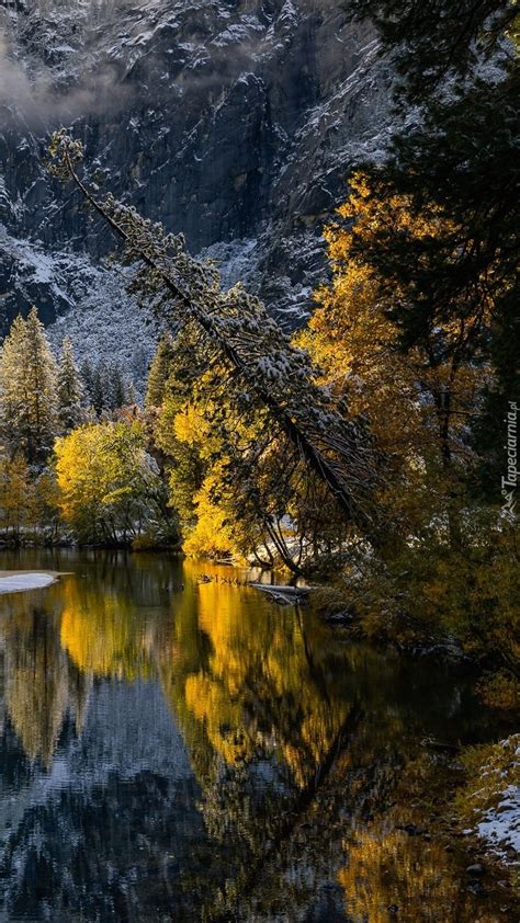Jesienne drzewa nad rzeką Merced River Tapeta na telefon