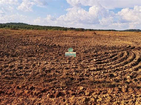 Mato Grosso Fazendas Hectares Venda No Mt