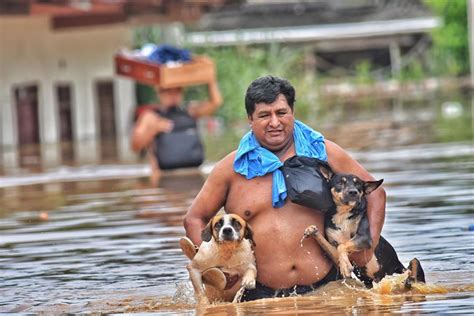 Fuertes Lluvias En Bolivia Obligan A Suspender Clases