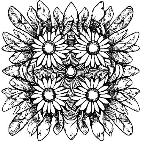 Daisies Coloring Page Creative Fabrica