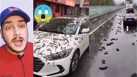 عاجل شاهد ظهور حاله غريبه و عجيبه السماء تمطر ديدان عملاقه سبحان الله